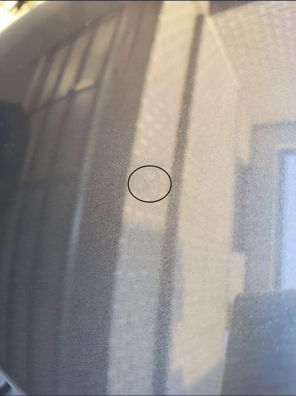 fiente de pigeon qui a laissé une tache qui ne part pas | Detailing ...